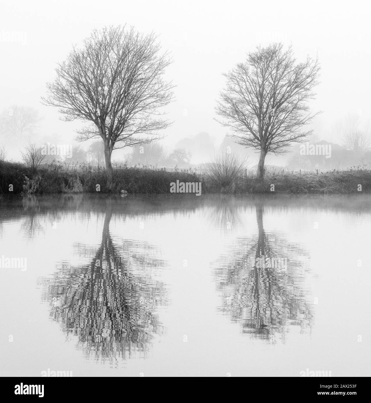 Trees reflected in the River Trent at Colwick Country Park, Nottingham ...