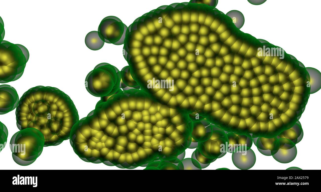 Microscopic life, virus, algae, cells, bacteria multiplying ...