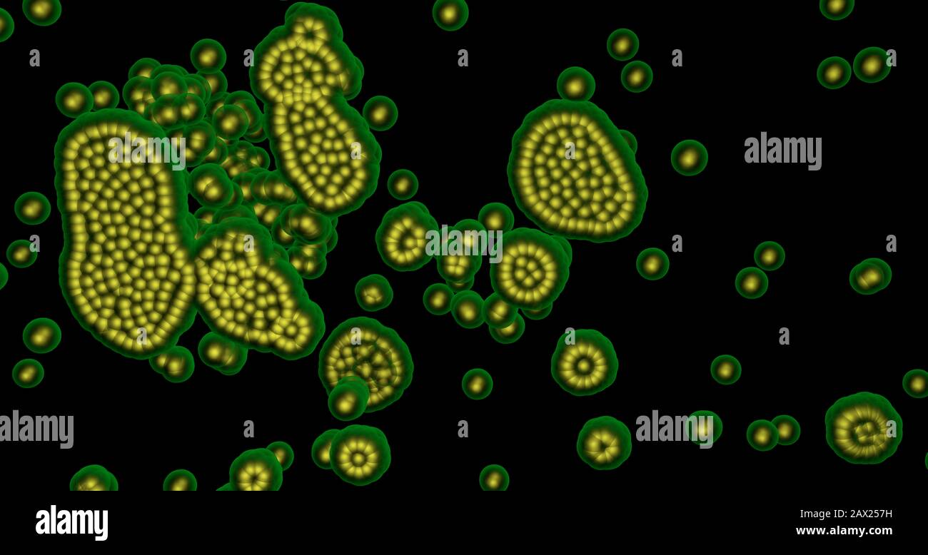 Microscopic life, virus, algae, cells, bacteria multiplying ...