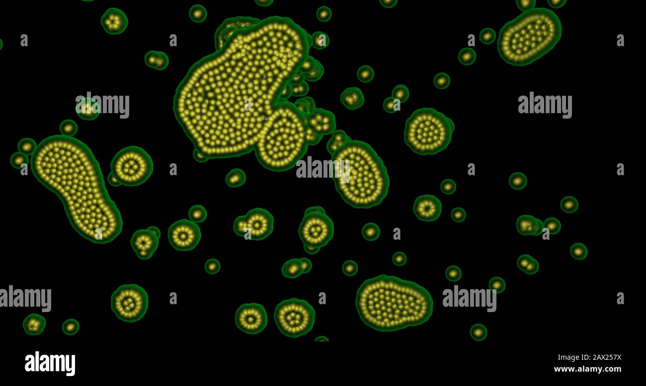 Microscopic life, virus, algae, cells, bacteria multiplying ...