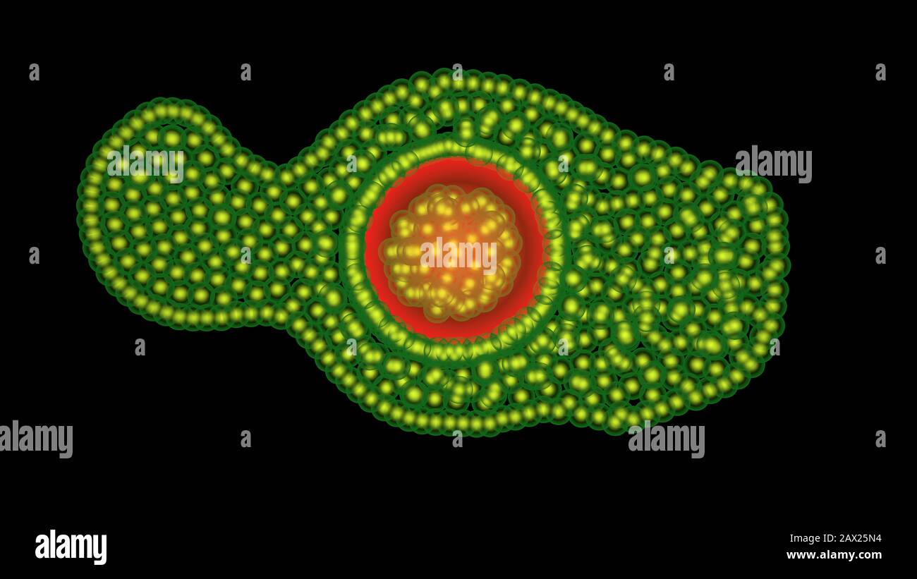 Microbes, drug molecules , nanobots envelope and kill target cell. 3d ...