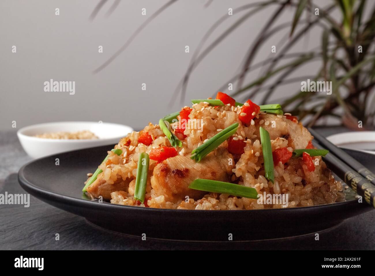 Tori chahan fried Japanese rice with vegetables and chicken in soy ...