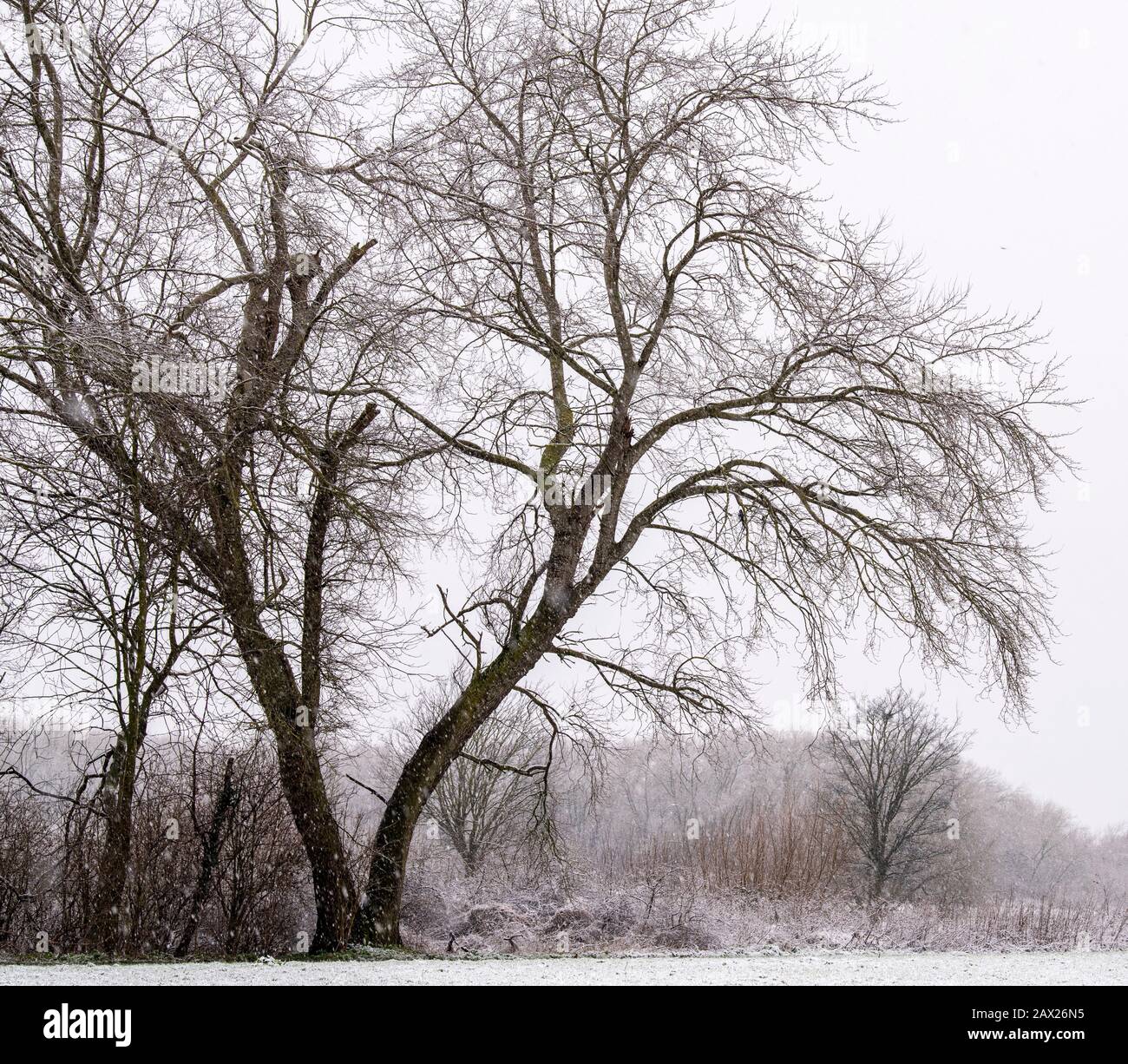Nottingham colwick country park winter hi-res stock photography and ...