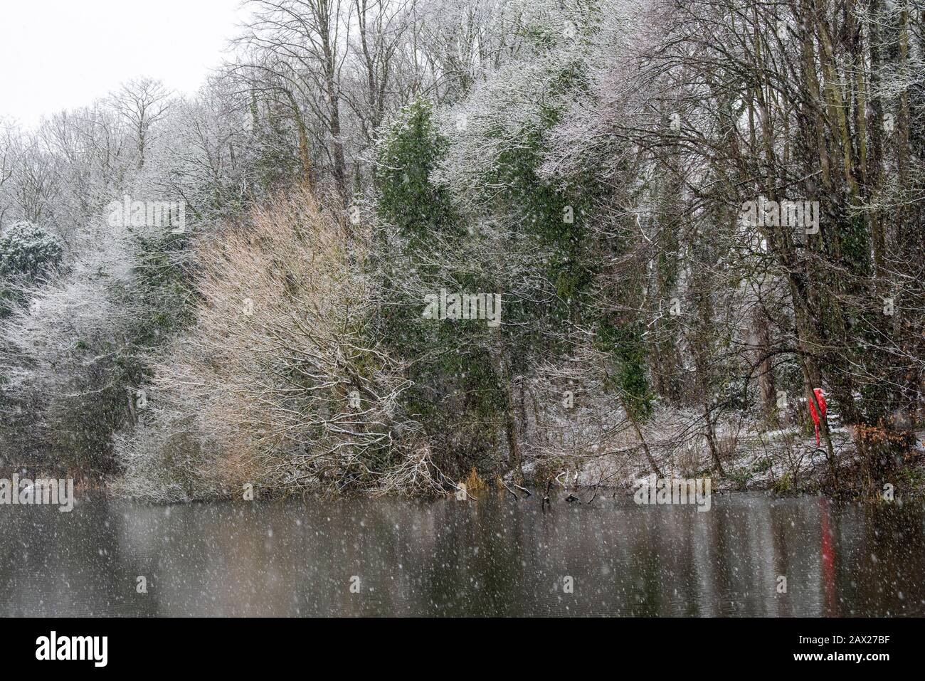 Snow falling at Colwick Country Park, Nottingham England UK Stock Photo ...