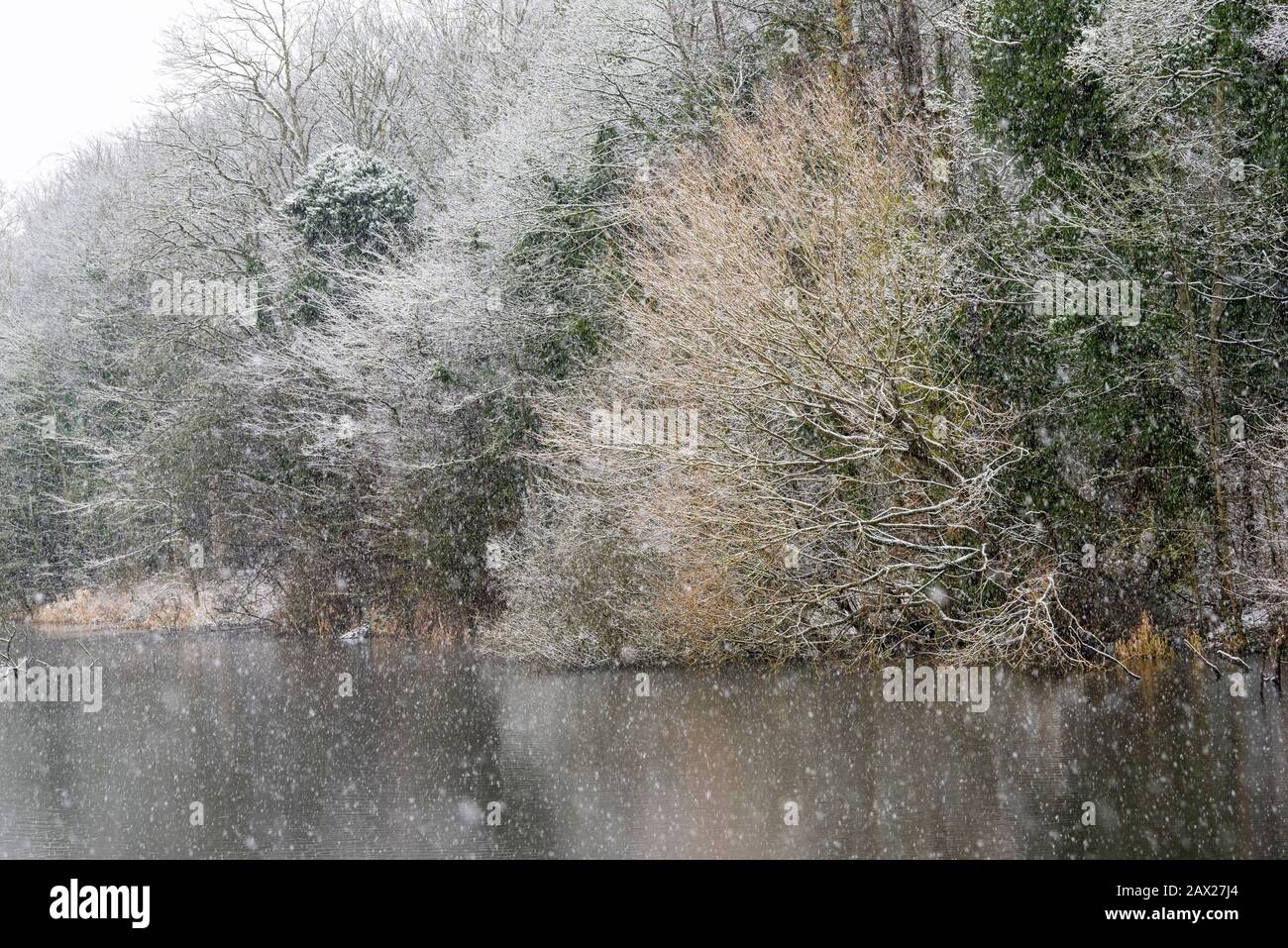 Snow falling at Colwick Country Park, Nottingham England UK Stock Photo ...