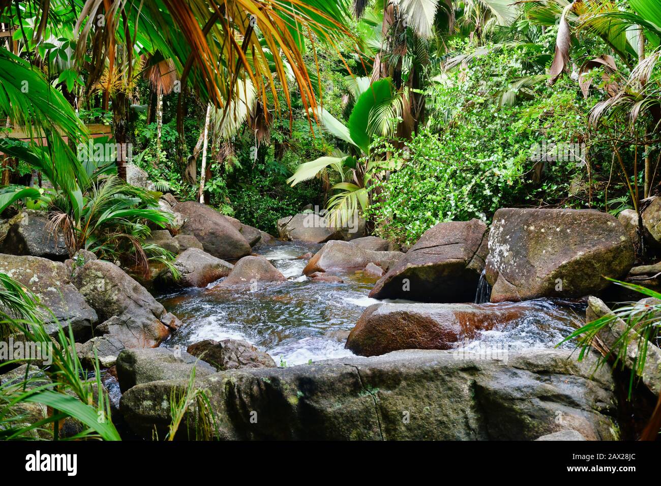 Mountain stream splashing on granite rocks near Sauzier waterfall, Mahe ...