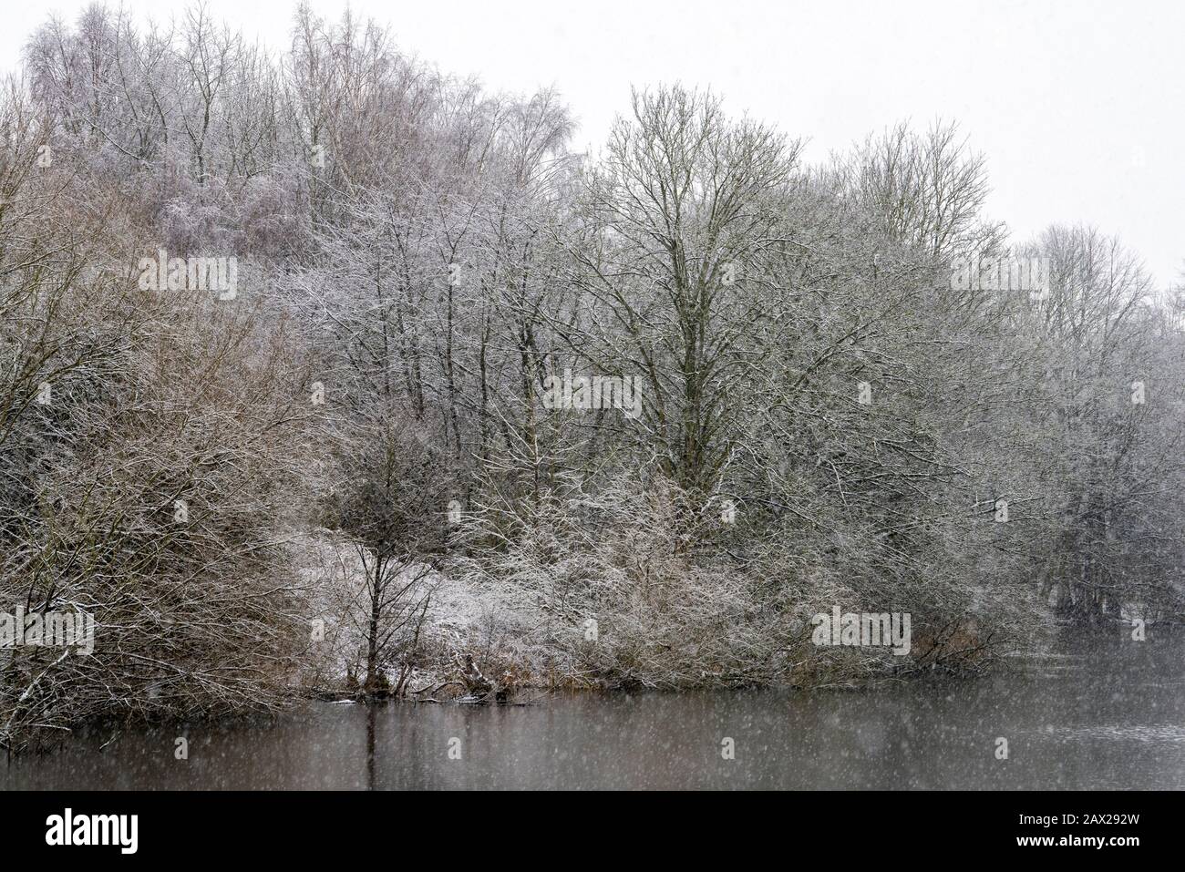 Snow falling at Colwick Country Park, Nottingham England UK Stock Photo ...