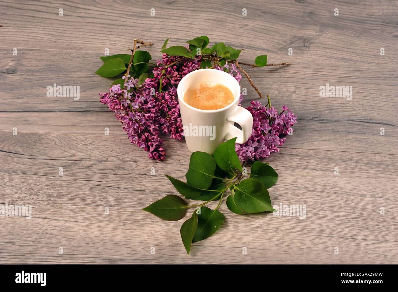 Simple still life hi-res stock photography and images - Alamy