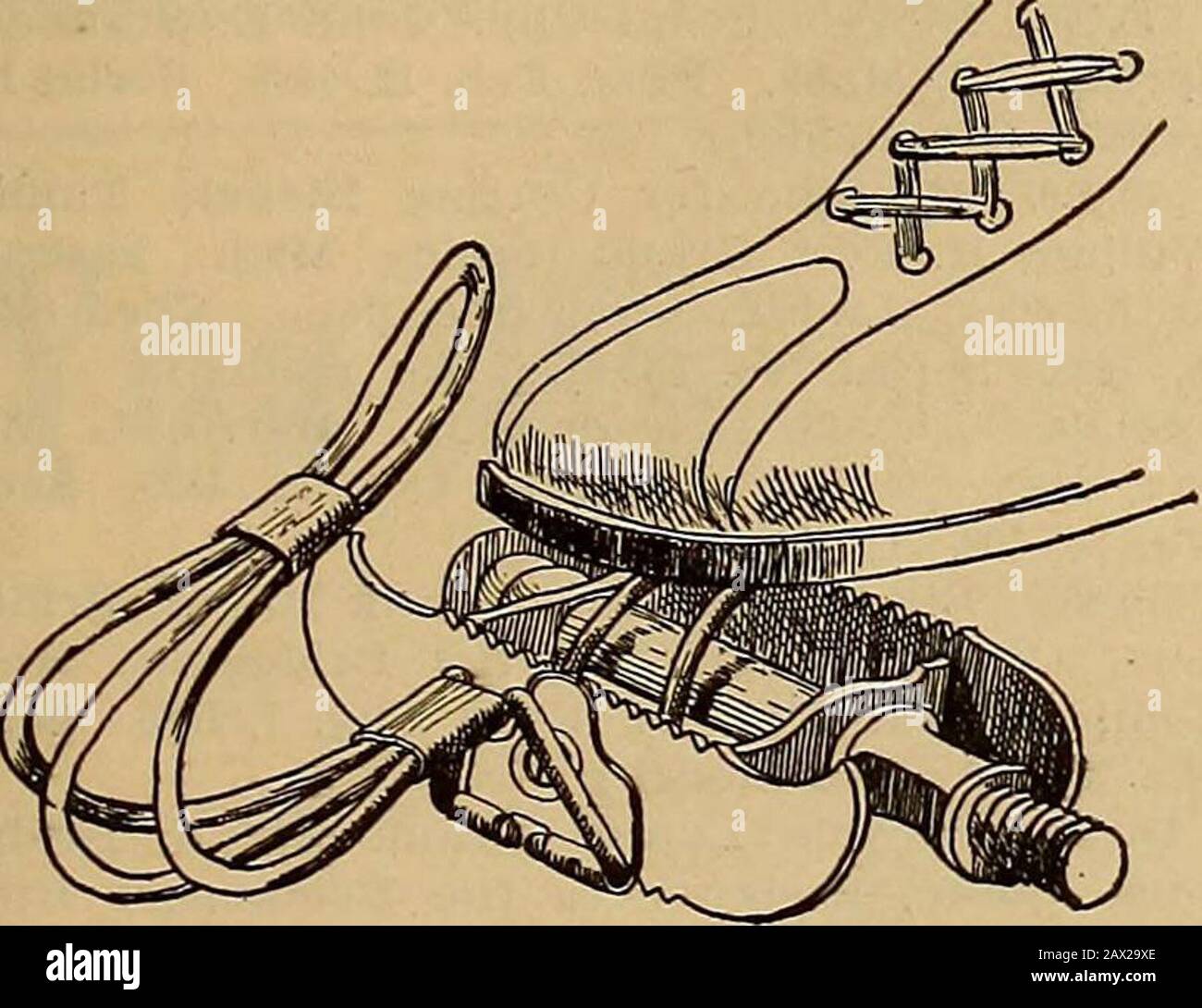 Curved backbone hi-res stock photography and images - Alamy