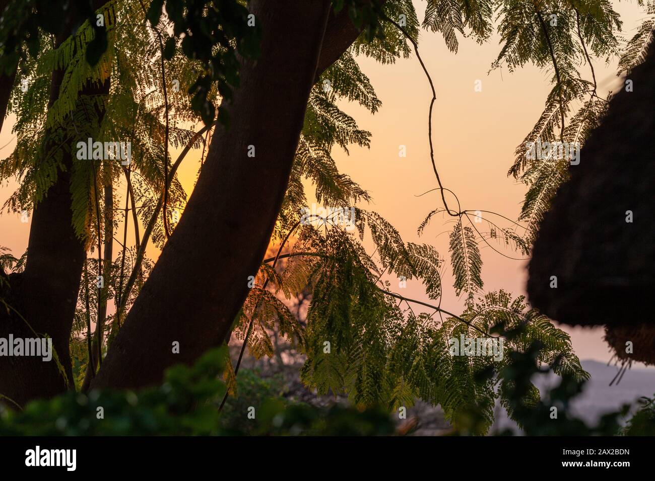 Red leaves shadow hi-res stock photography and images - Alamy