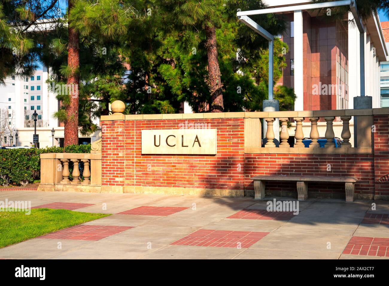Ucla campus bear hi-res stock photography and images - Alamy