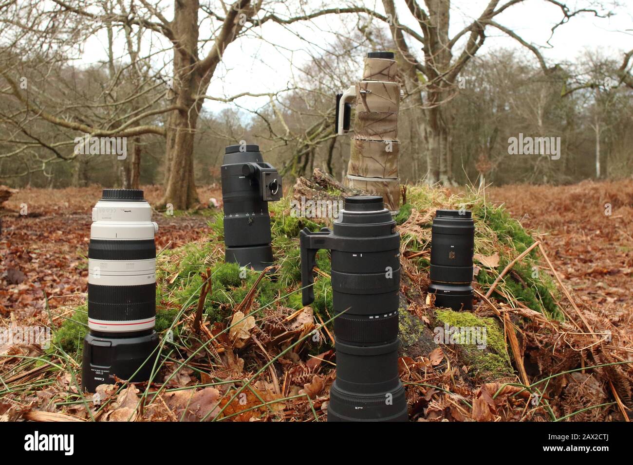 500 mm lens hi-res stock photography and images - Alamy