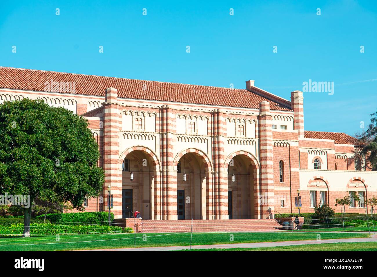 Ucla campus bear hi-res stock photography and images - Alamy