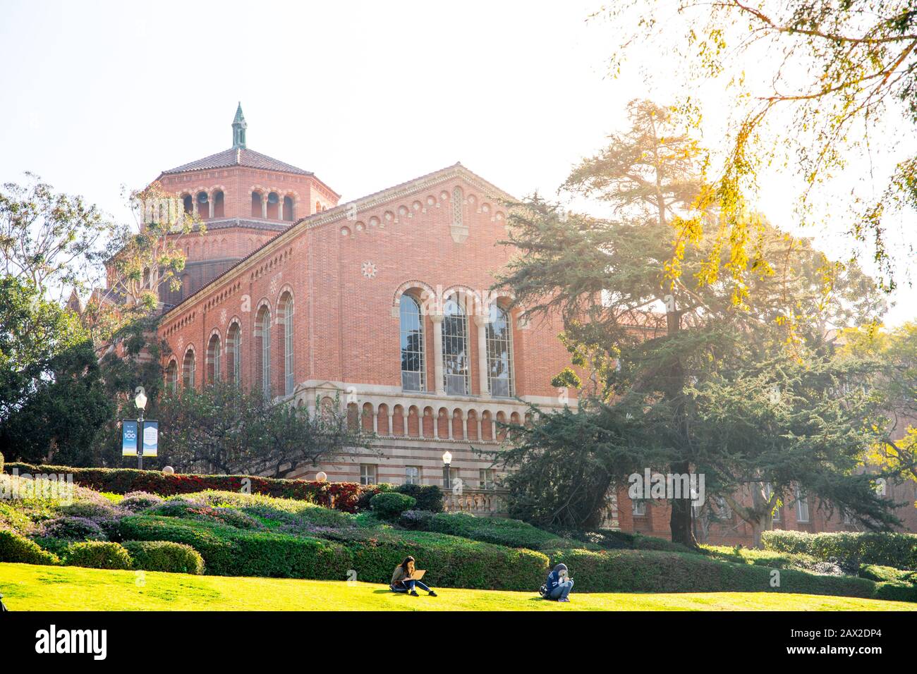 Ucla campus bear hi-res stock photography and images - Alamy