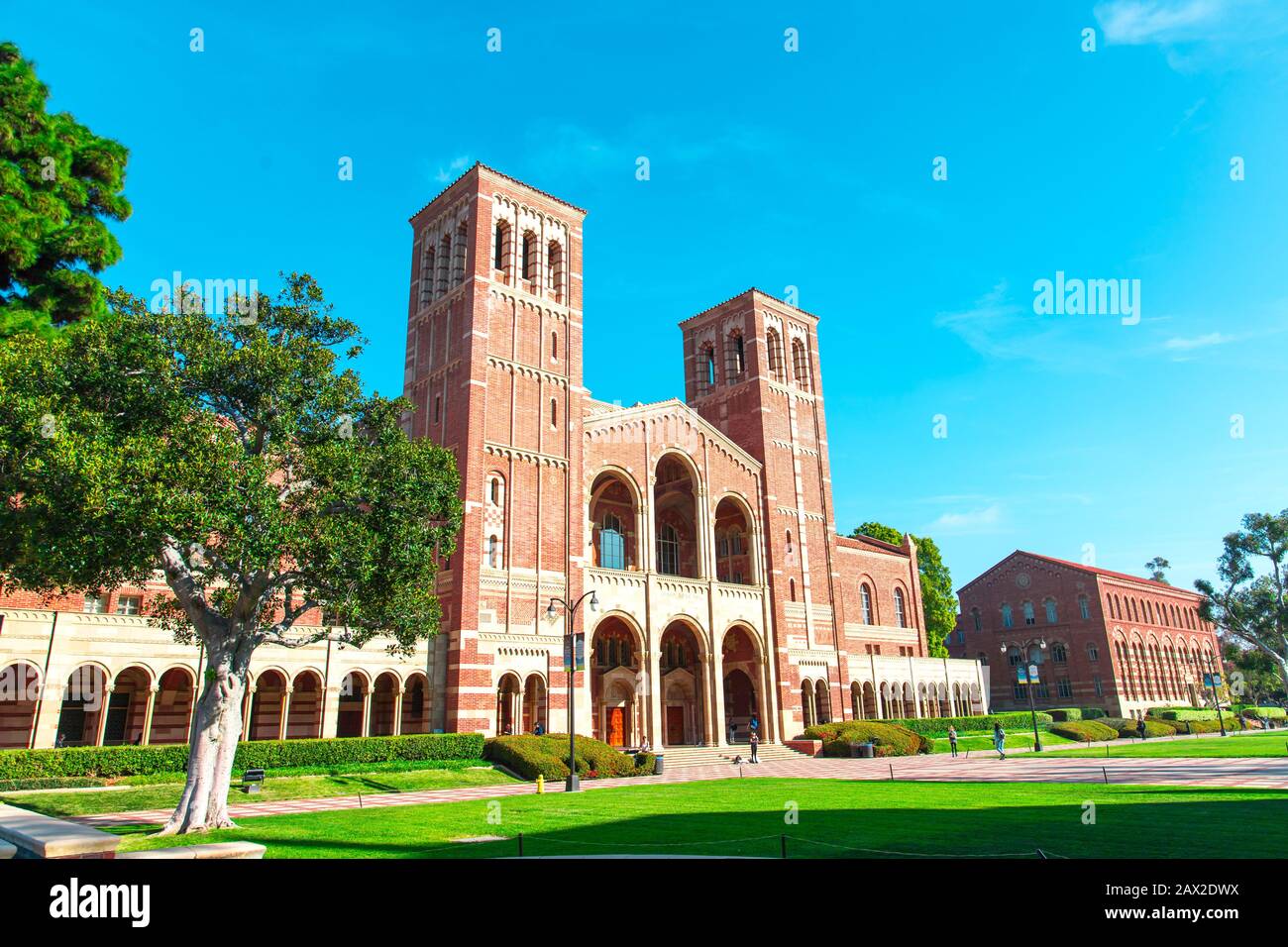 Ucla campus bear hi-res stock photography and images - Alamy