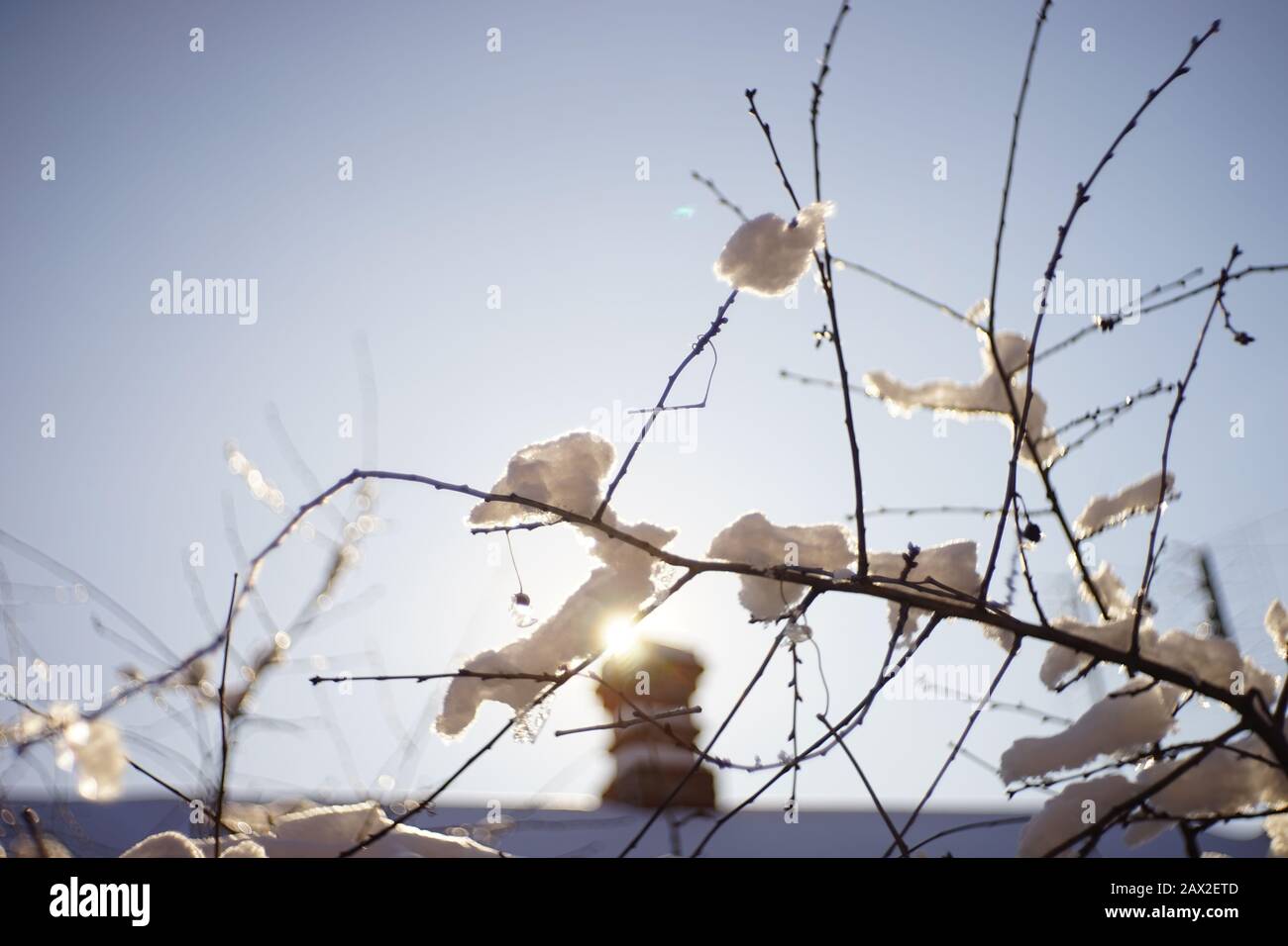 Tree branches covered with snow in sunny garden. Rural chimney and sky ...