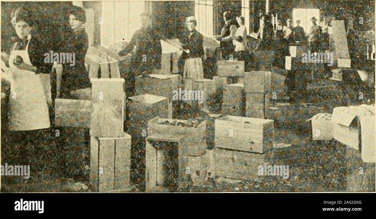 Scurfy leaf hi-res stock photography and images - Alamy