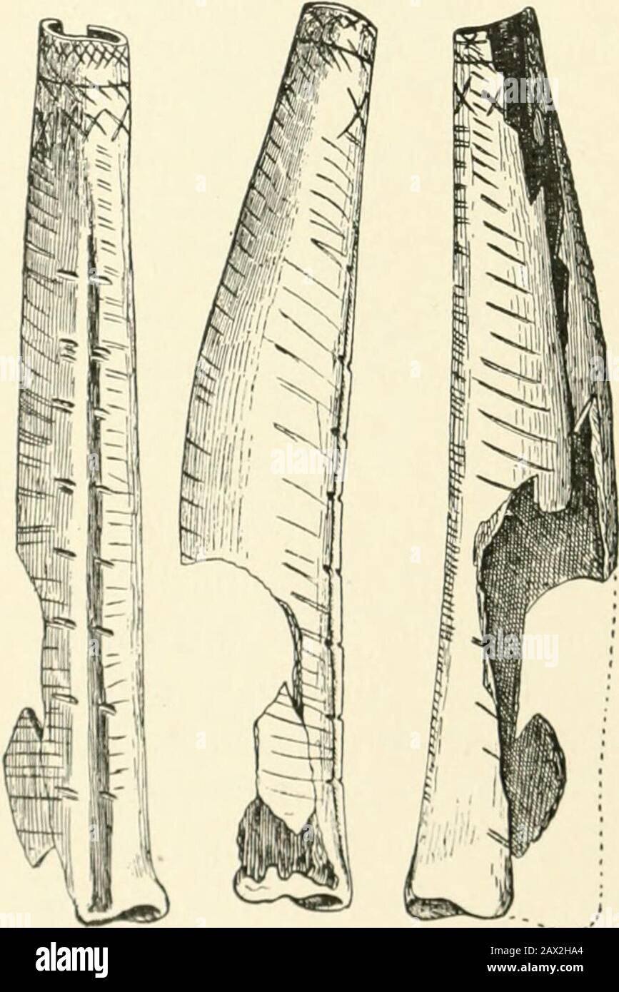 Renaissance Age Tools