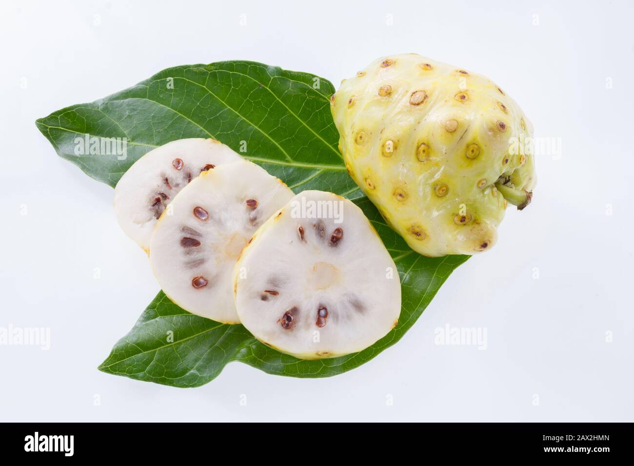 Noni fruits isolated on white background, Morinda citrifolia Stock ...