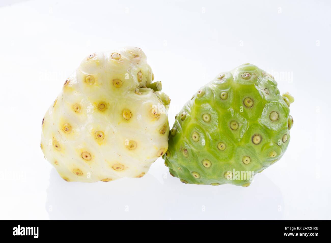 Noni fruits isolated on white background, Morinda citrifolia Stock ...