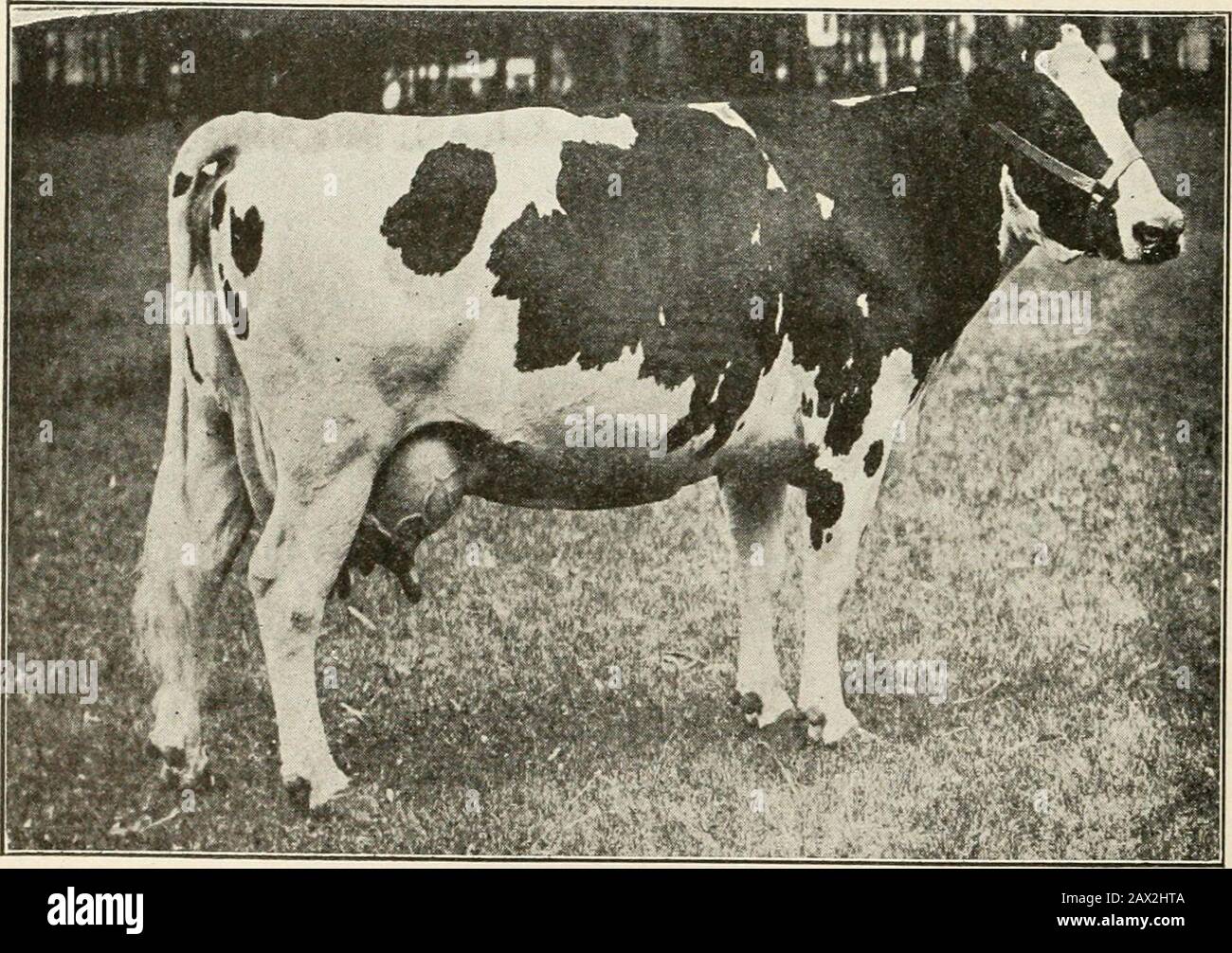Successful farming : a ready reference on all phases of agriculture for ...