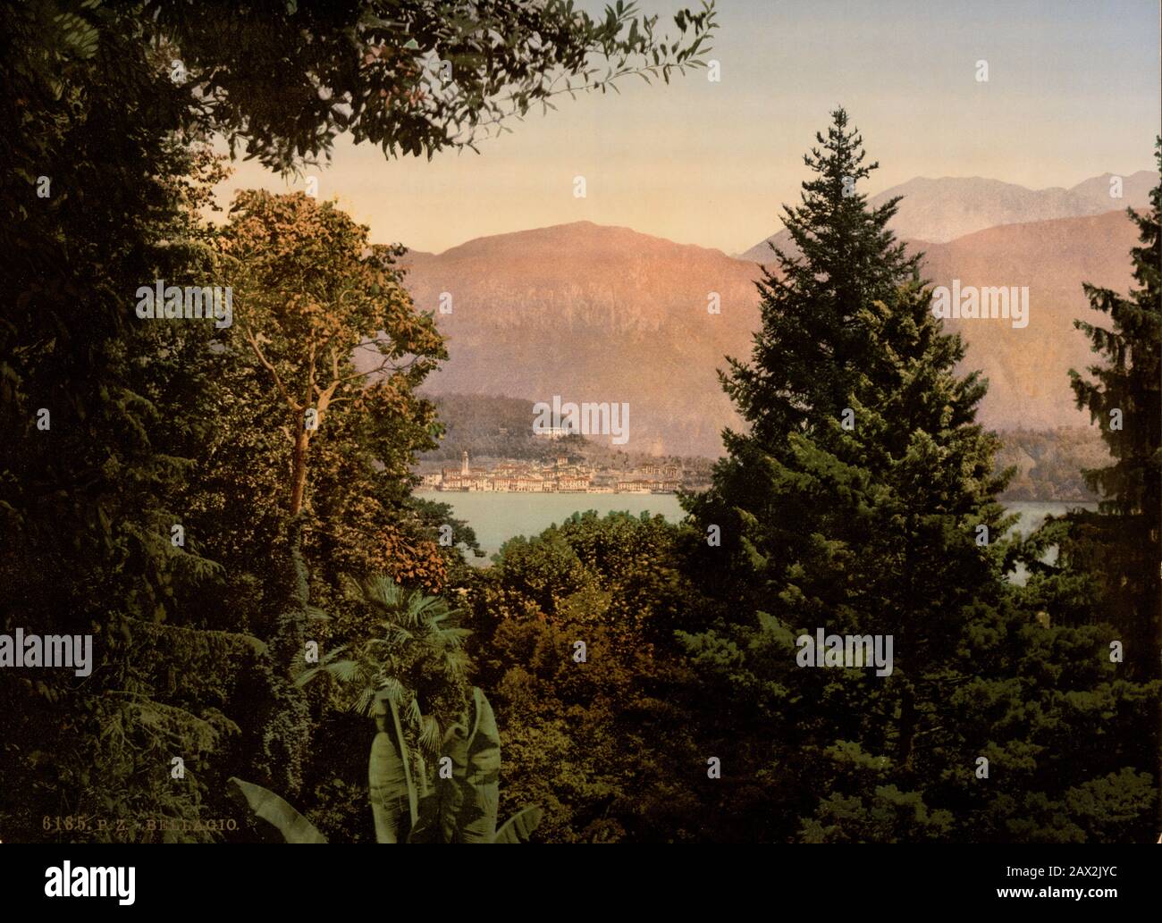 1905 ca. , BELLAGIO , LAGO MAGGIORE, ITALY : BELLAGIO , panorama ...