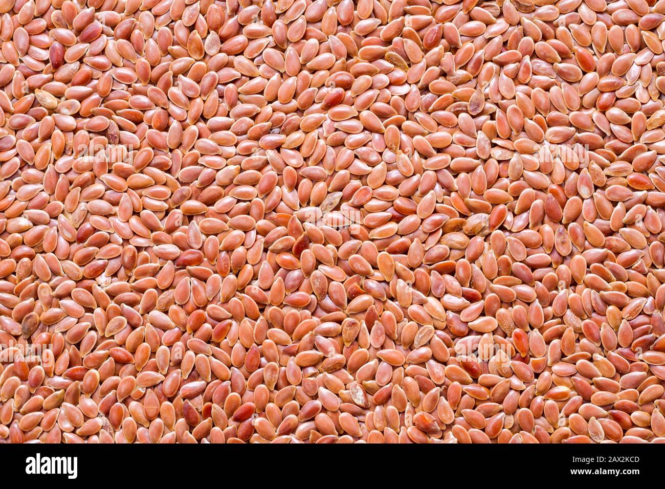 Linseed grains on the table- Linum usitatissimum Stock Photo - Alamy
