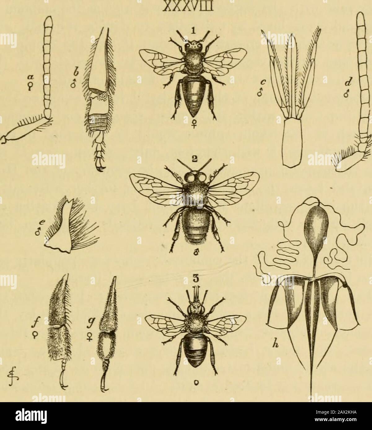 Slightly clouded hi-res stock photography and images - Alamy