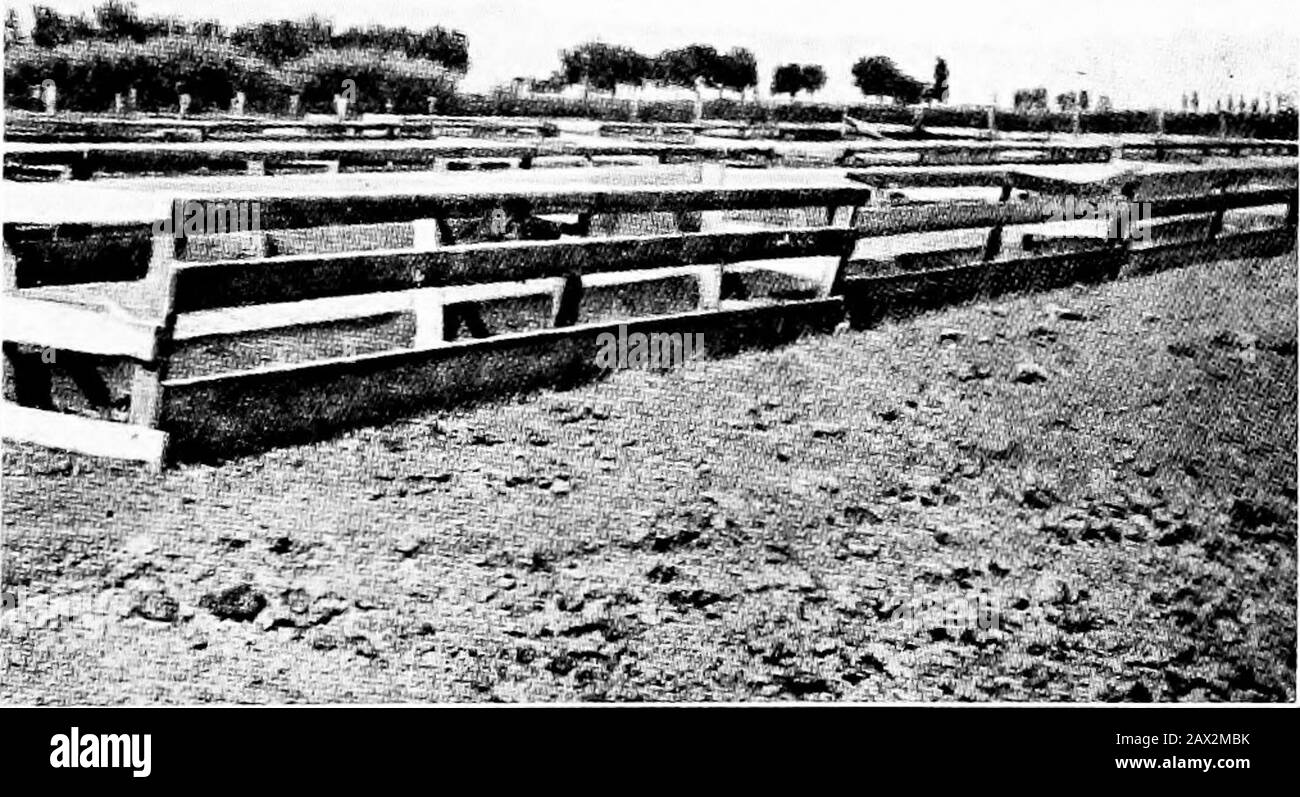 The book of alfalfa; history, cultivation and meritsIts uses as a ...