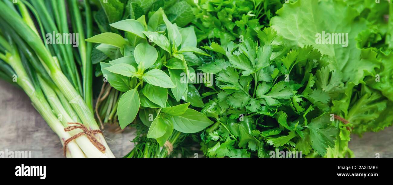 Fresh homemade greens from the garden. Selective focus. nature Stock ...