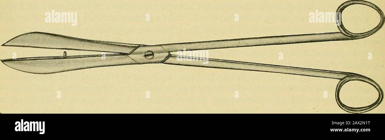 Perforatio hi-res stock photography and images - Alamy