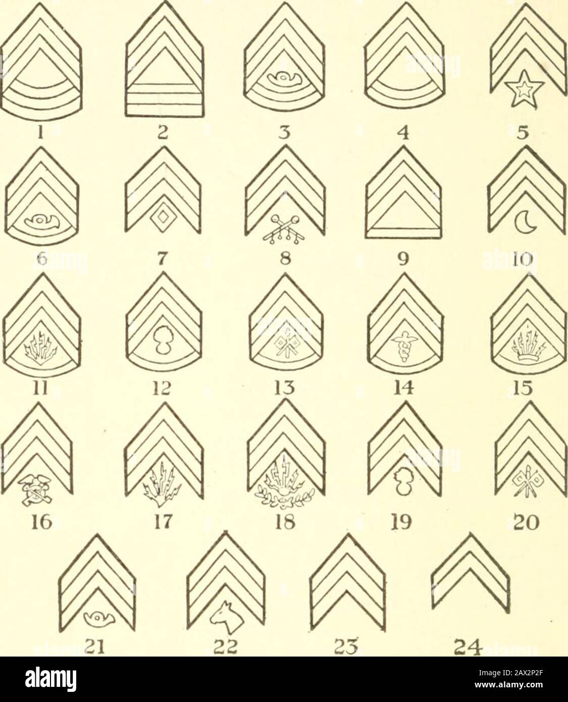 first sergeant insignia coloring pages