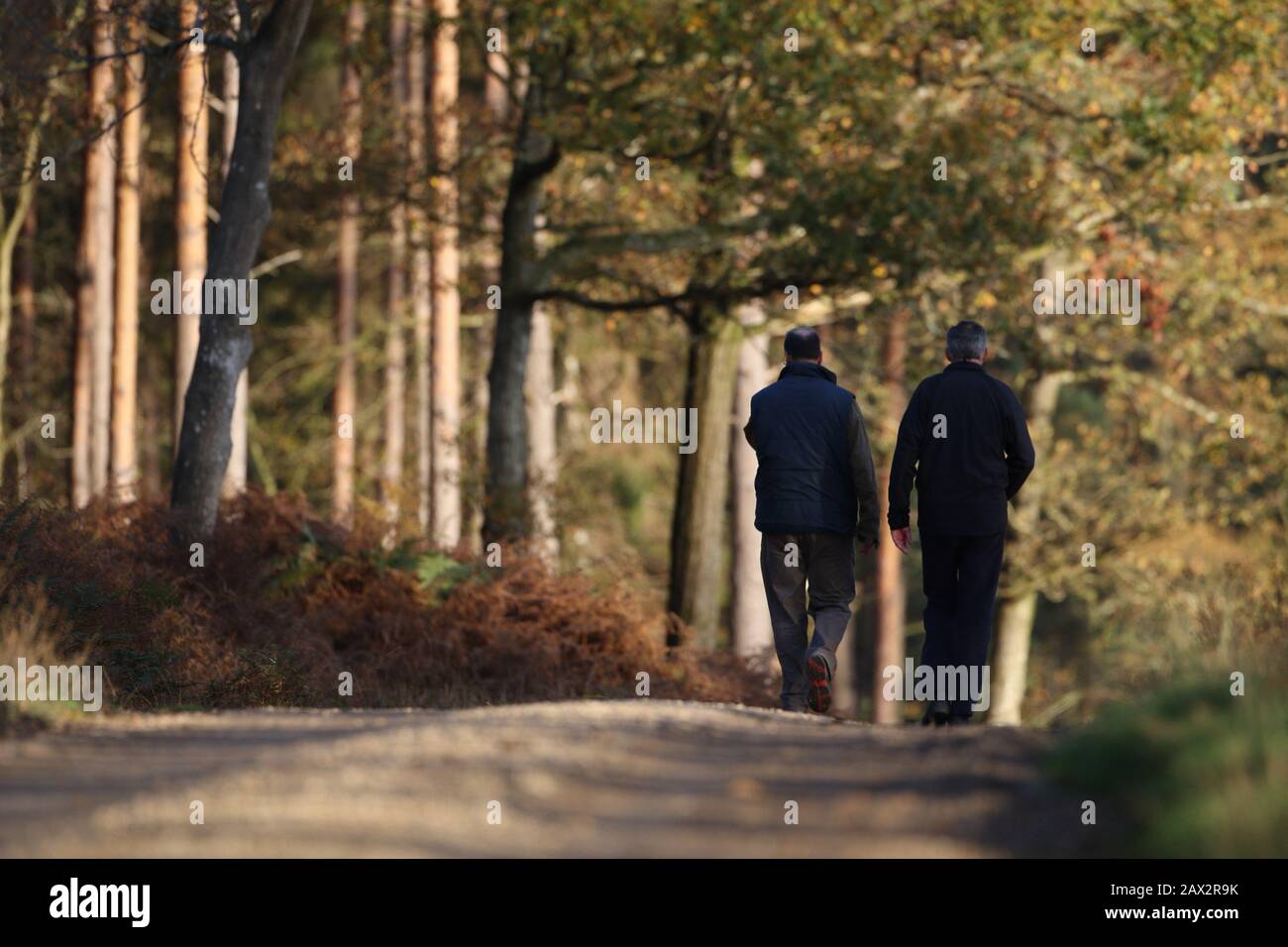 walking in the countryside Stock Photo - Alamy