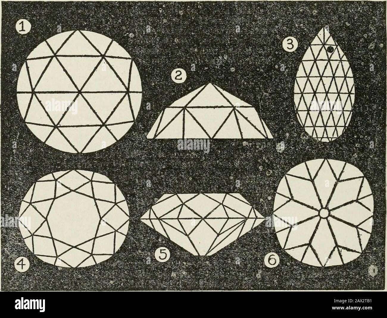 Collier's new encyclopedia : a loose-leaf and self-revising reference ...