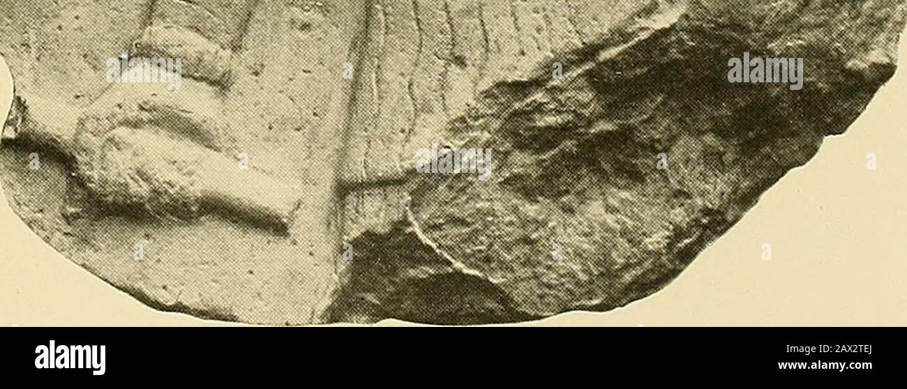 Naram sin hi-res stock photography and images - Alamy