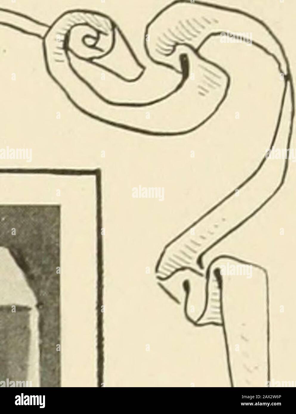 What and how; a systematized course of hand work, for primary grades ...