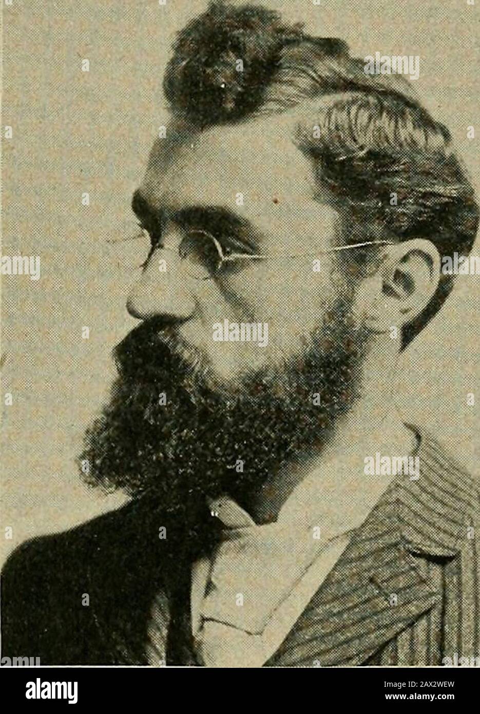 Slender nose hi-res stock photography and images - Alamy