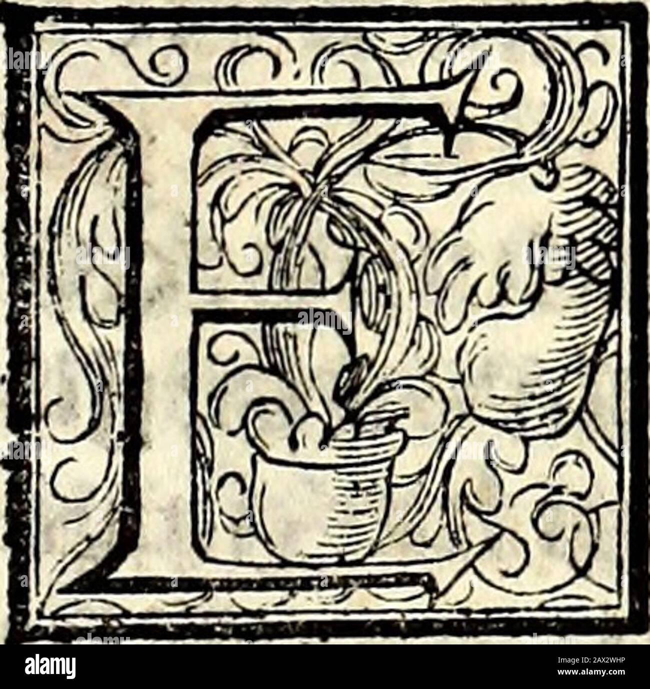 Ad populum hi-res stock photography and images - Alamy