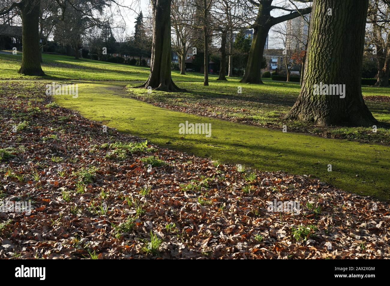 Converging Shadows High Resolution Stock Photography and Images - Alamy