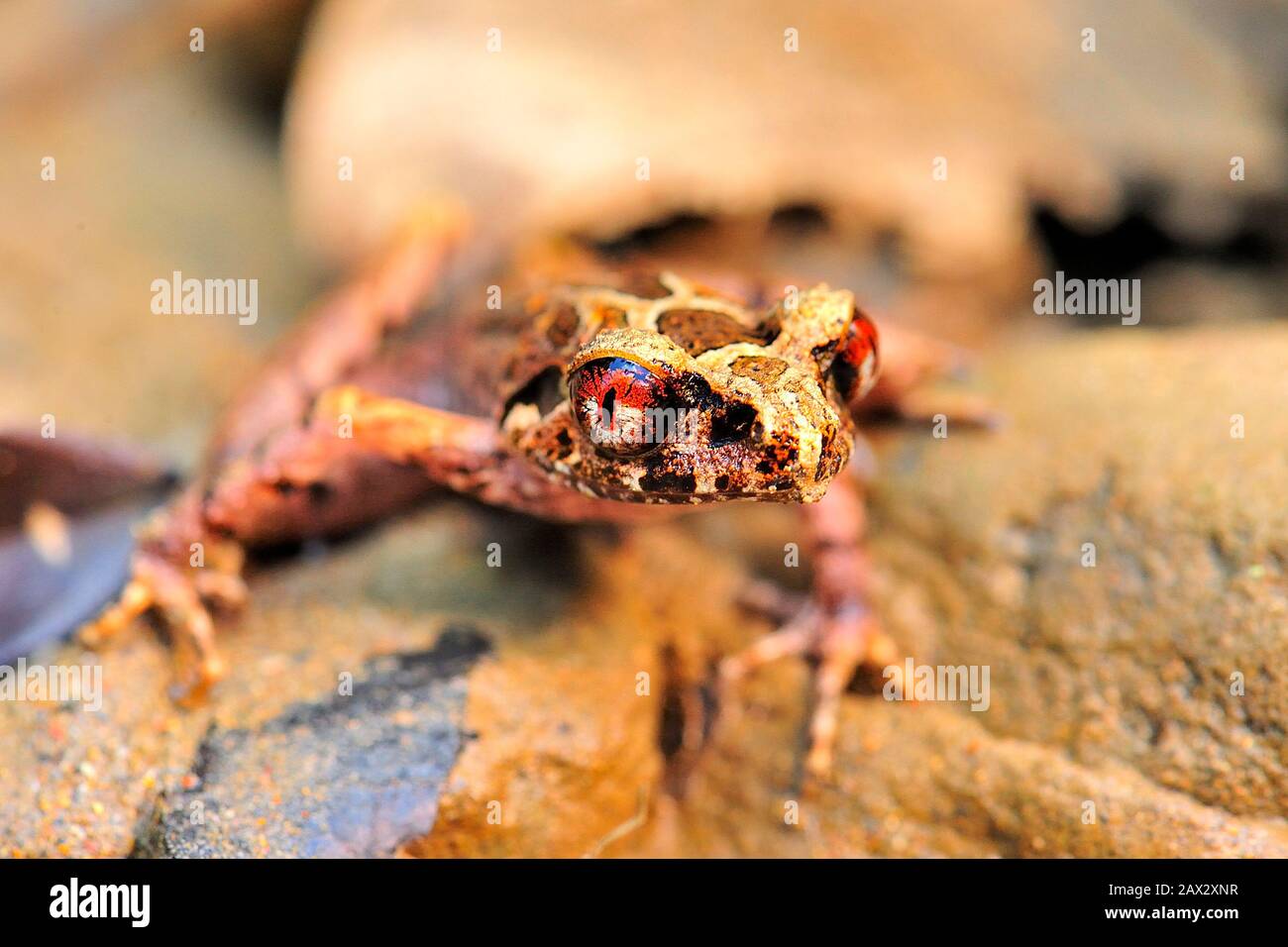 Brunei Darussalam High Resolution Stock Photography and Images - Alamy