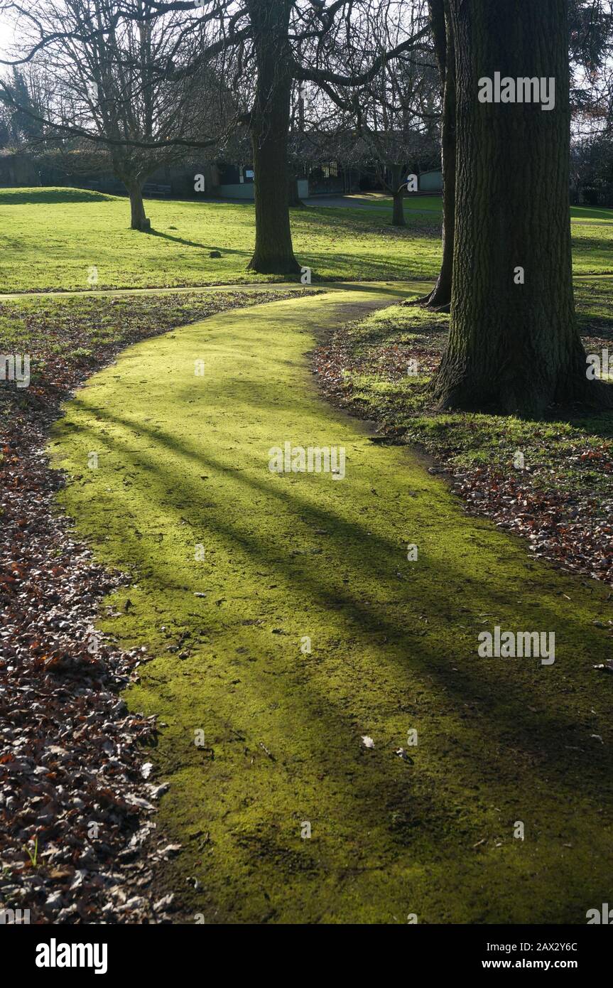 Converging Paths High Resolution Stock Photography and Images - Alamy