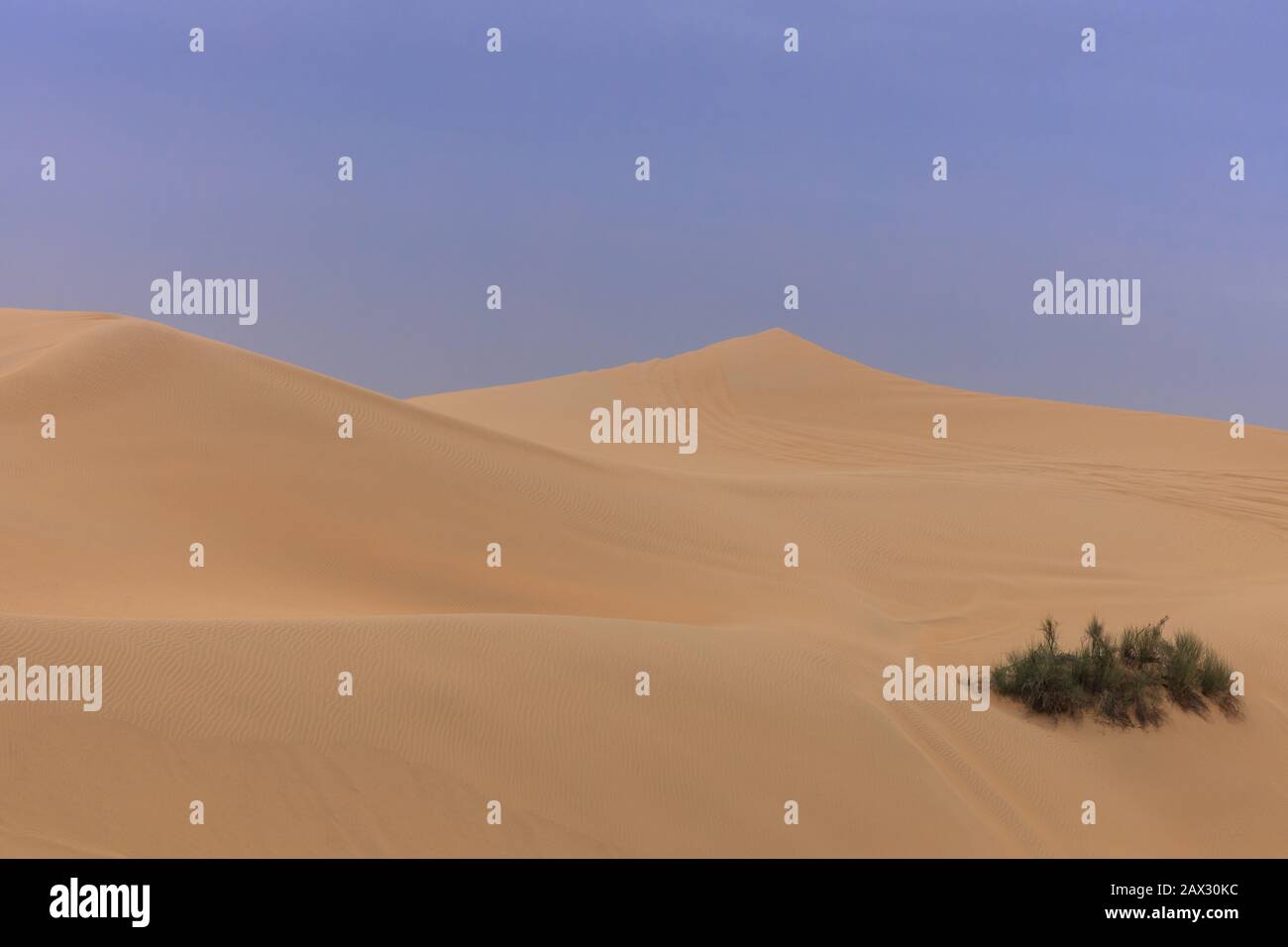 sand dunes in Abu Dhabi desert. United Arab Emirates Stock Photo - Alamy
