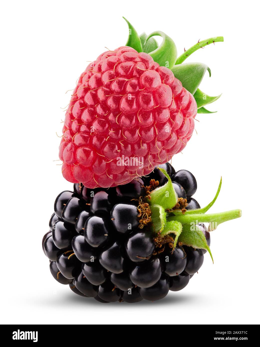 collection of berries isolated on a white background Stock Photo - Alamy