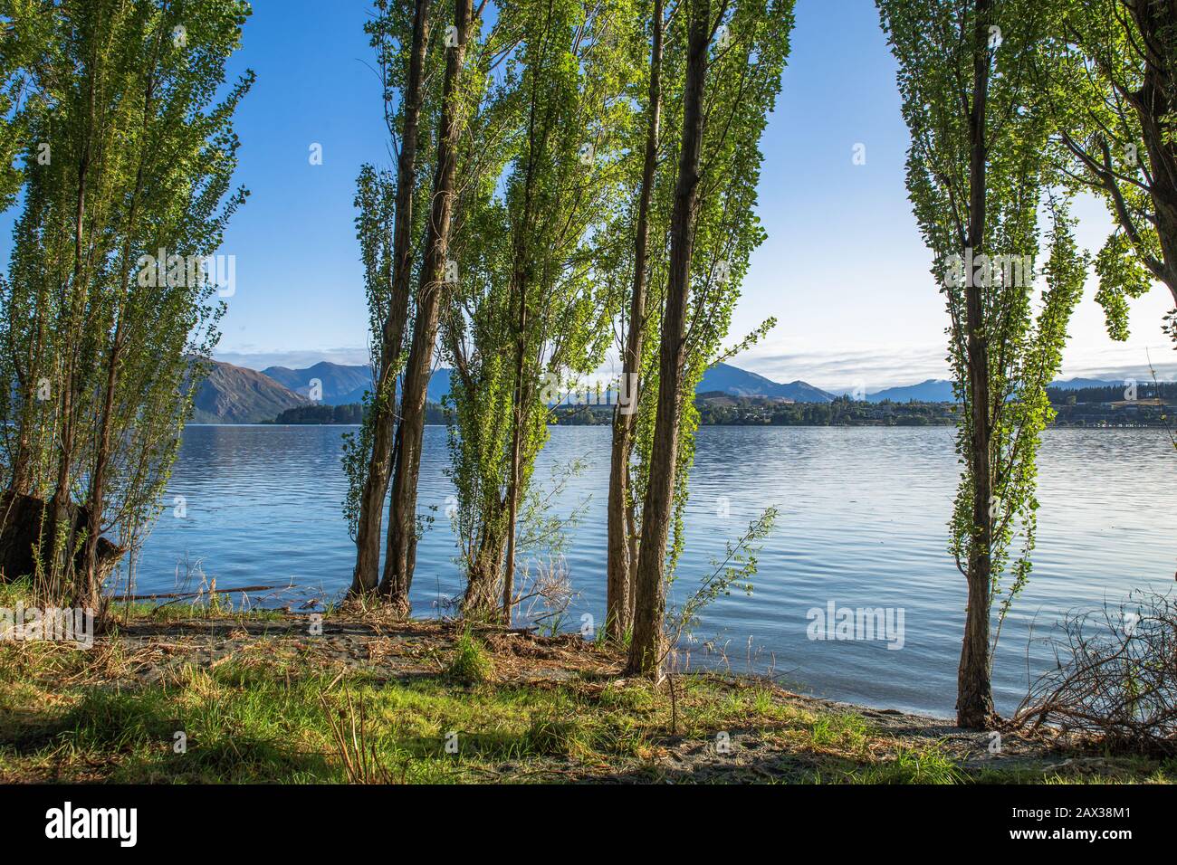 Early morning lake sunrise with golden light. Blue sky and water. Lake ...