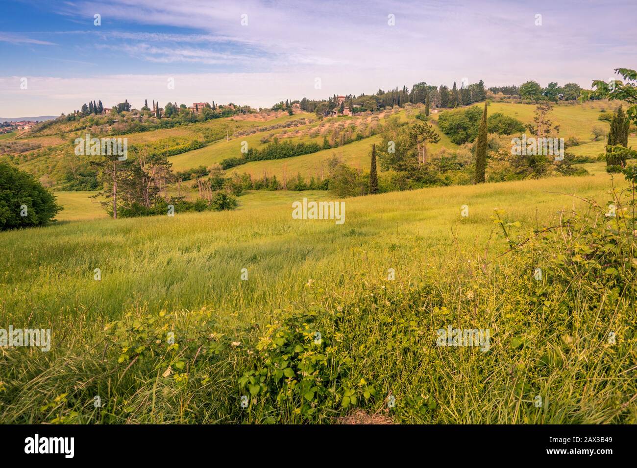 Tuscan countryside trees hi-res stock photography and images - Alamy