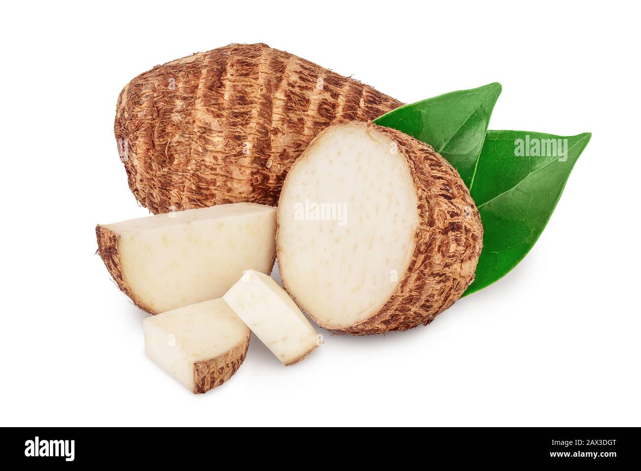 fresh taro root with slices and leaf isolated on white background Stock ...