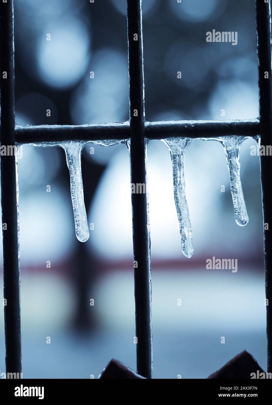 Fence with icicles hanging off of it in San Angelo, Texas, USA Stock ...