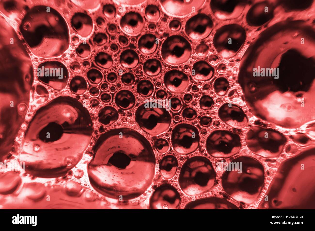 red bubble pattern as a foam structure on a liquid surface Stock Photo ...