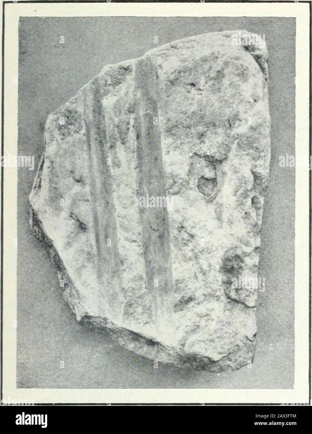 Chief crowfoot hi-res stock photography and images - Alamy