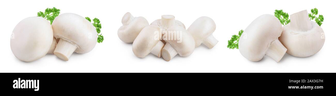 Fresh mushrooms champignon isolated on white background with clipping ...